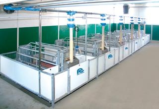 Gabbie Parto per Scrofe | Dispositivo Antischiacciamento